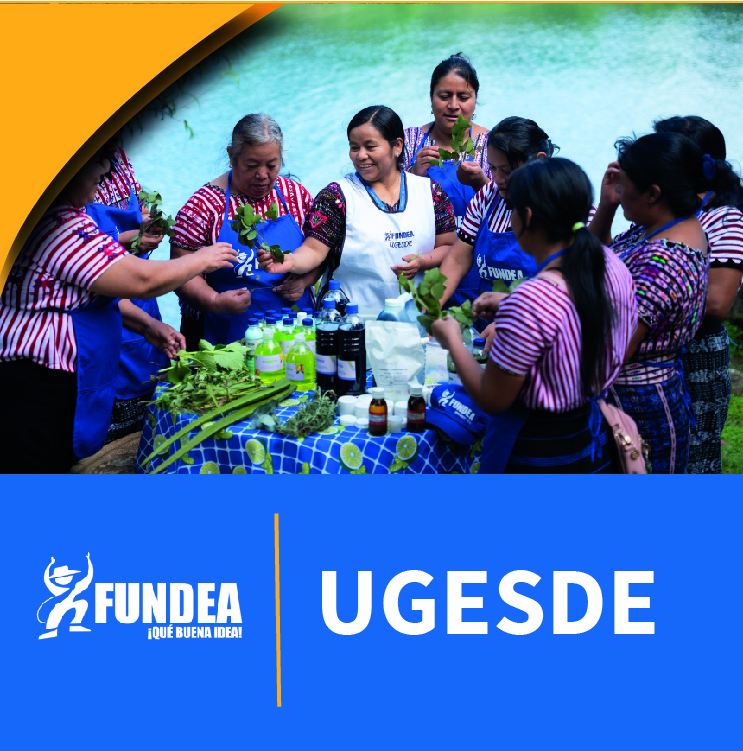 Página Principal | ecampus